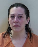 Controller Sloane’s bond revoked, sent to jail for ‘harboring’ cat ...